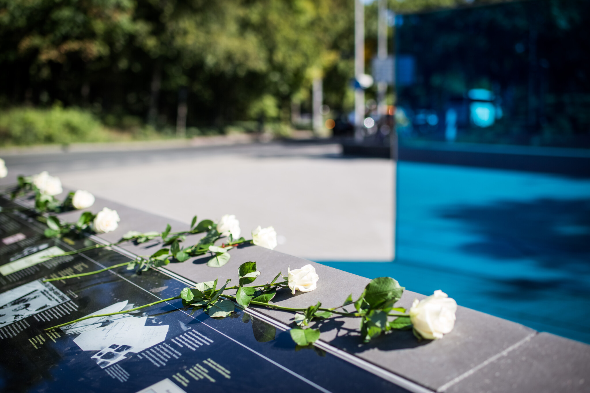 10 Jahre Gedenk- und Informationsort für die Opfer der »Euthanasie ...